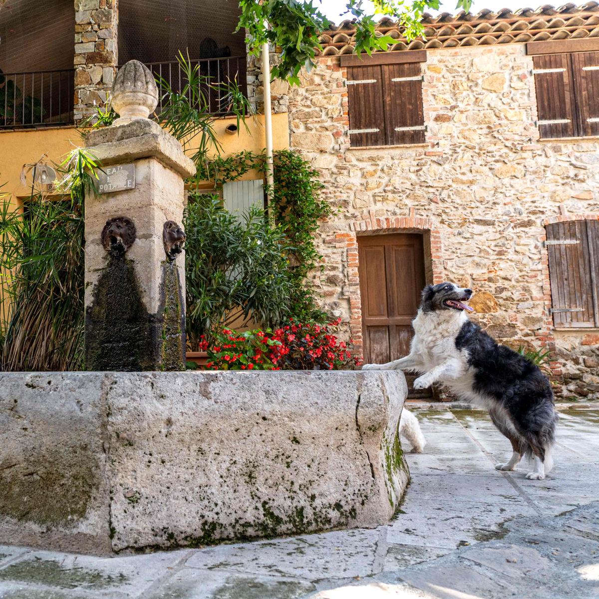Interactive map | Charm of Provence & French Riviera