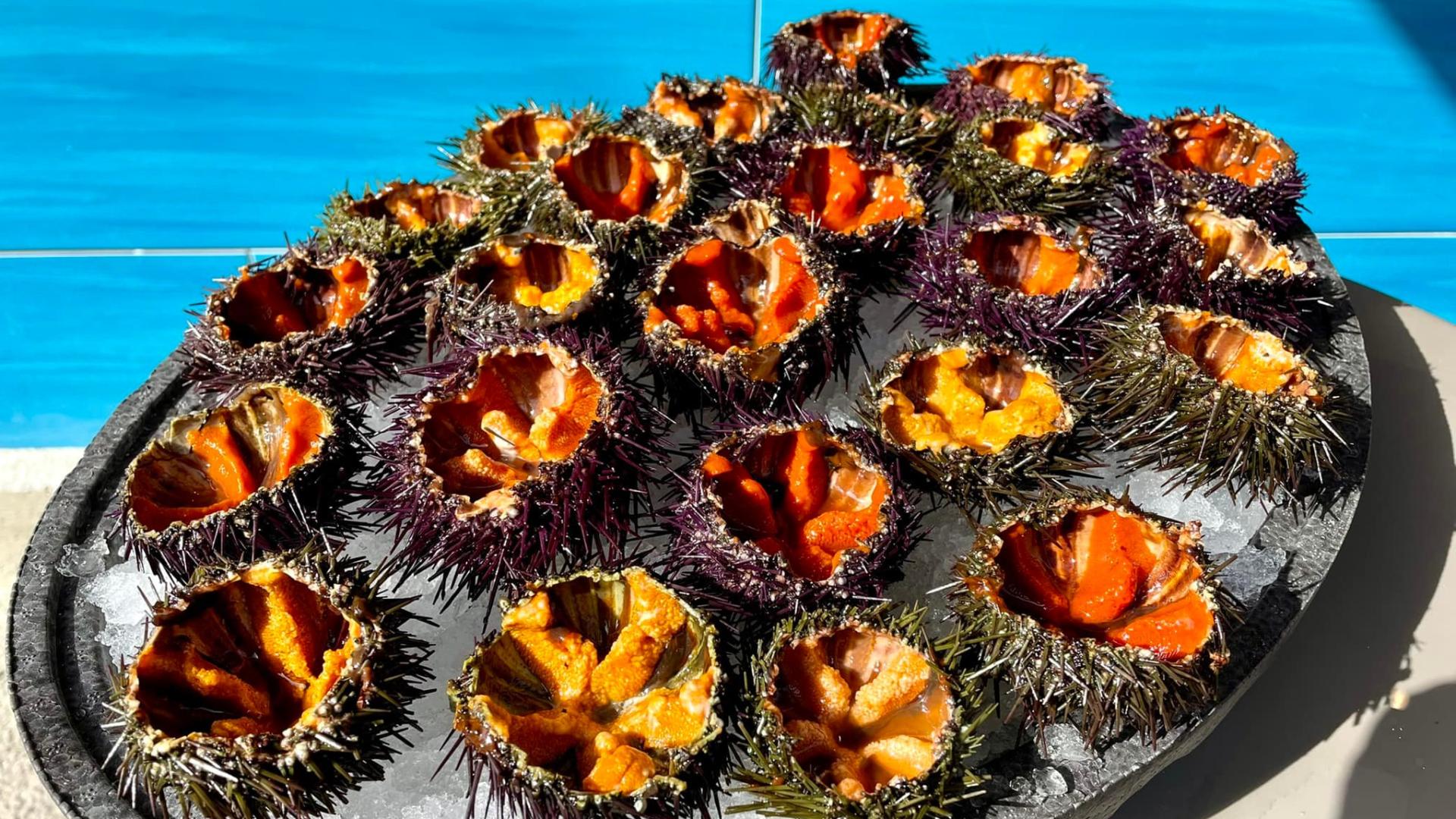 My fish is fresh! | Charm of Provence & French Riviera