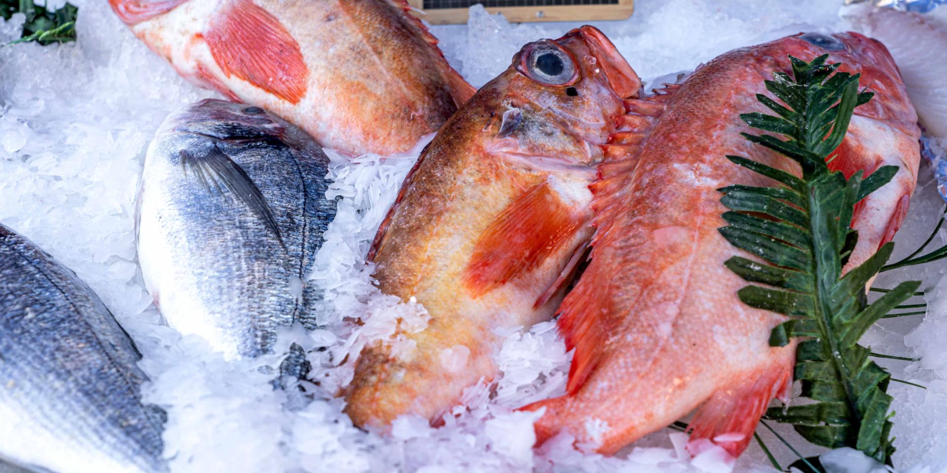 My fish is fresh! | Charm of Provence & French Riviera